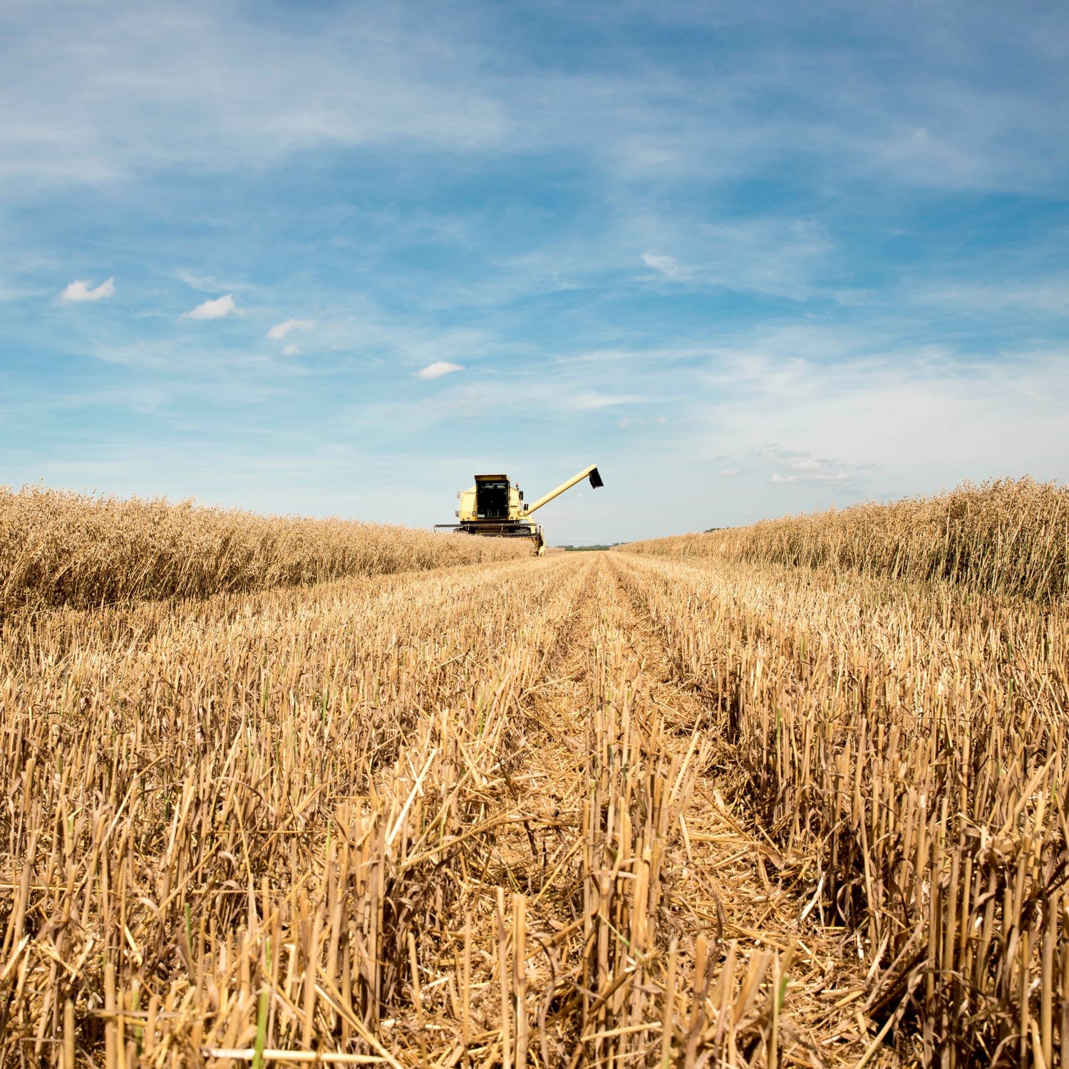 Over Oot: oprichter Valentine, hoe de granola wordt gemaakt, en de ...